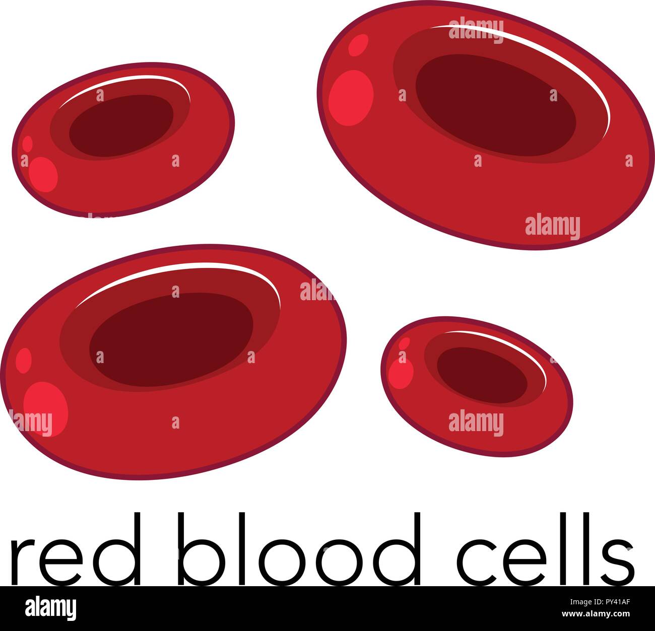 Red globules Banque de photographies et d’images à haute résolution - Alamy