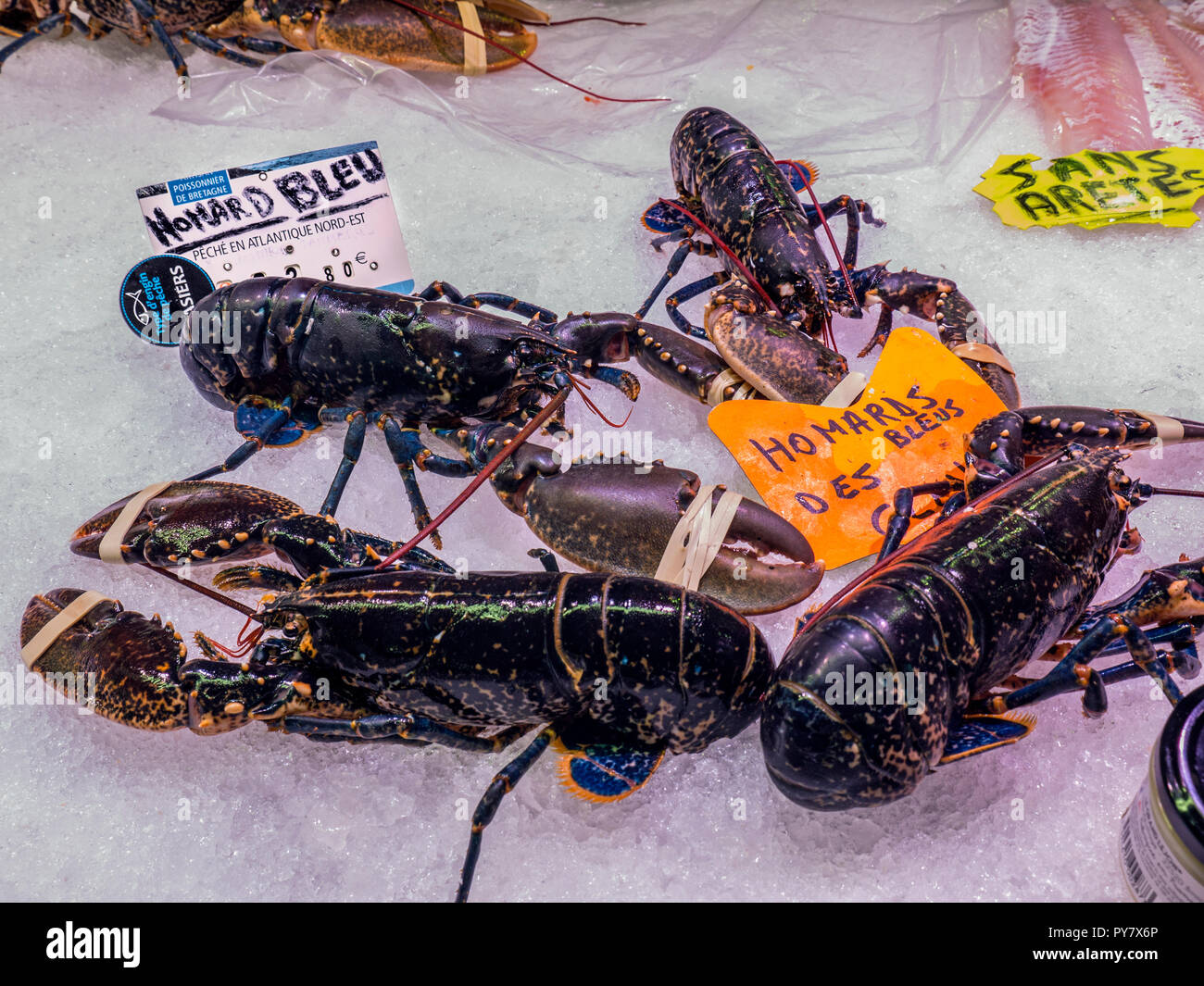 Homard bleu bretagne france Banque de photographies et d’images à haute ...