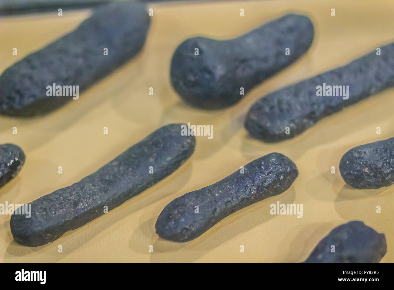 Tektite spécimens pour l'éducation. Les tectites sont gravier-taille d ...