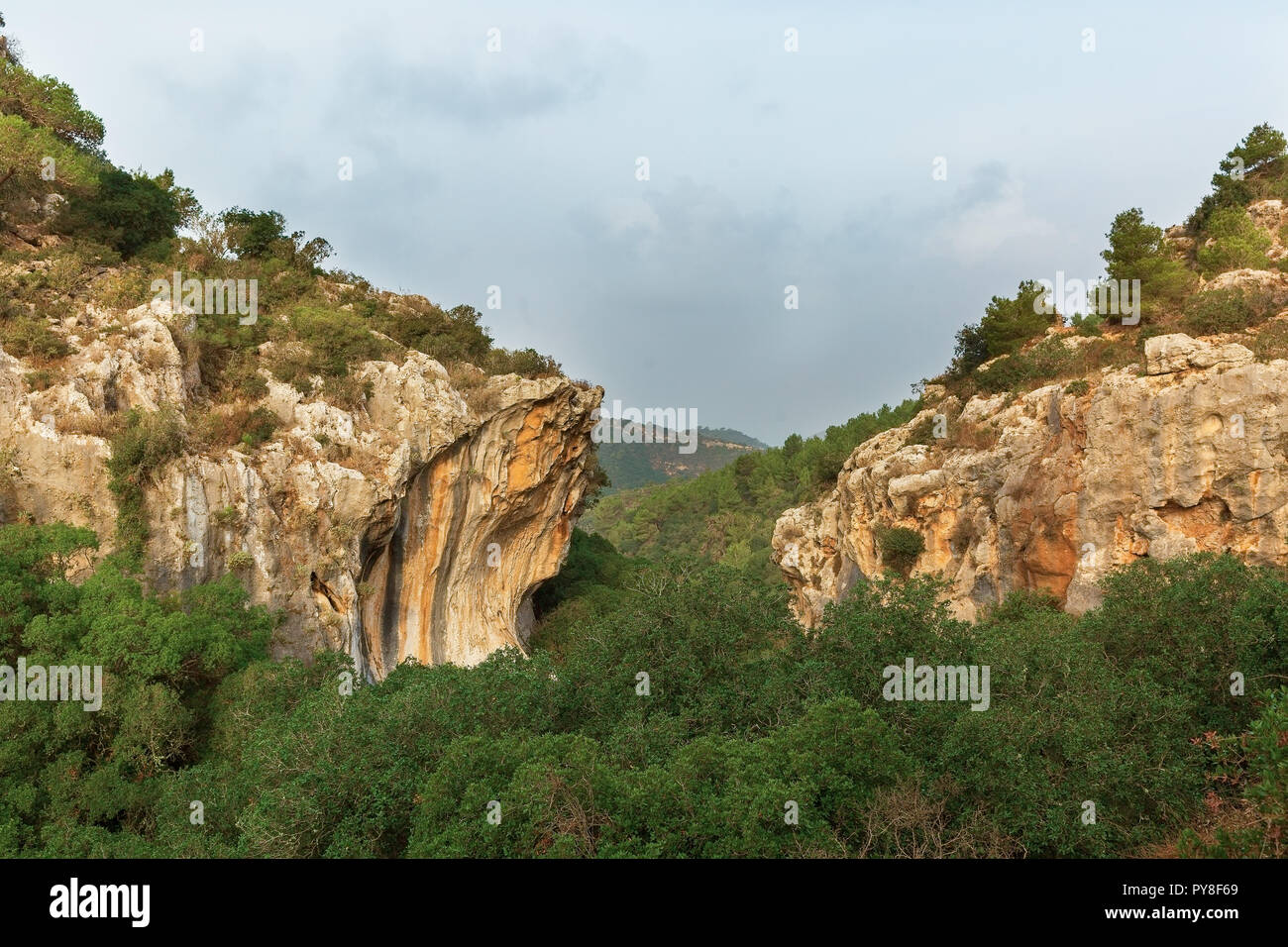 Vue panoramique depuis le Mont Carmel, Israël Photo Stock - Alamy