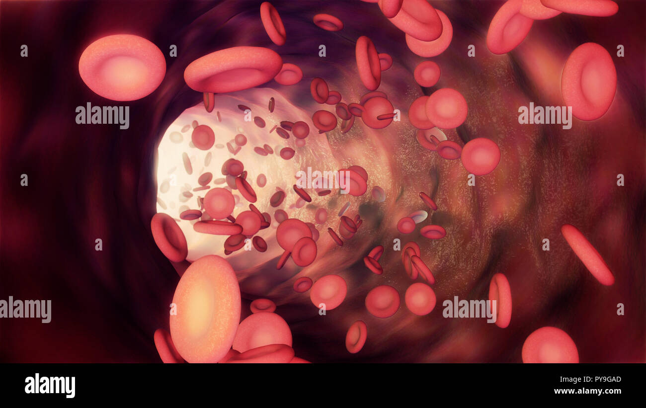 Cellule blanche Banque de photographies et d’images à haute résolution ...