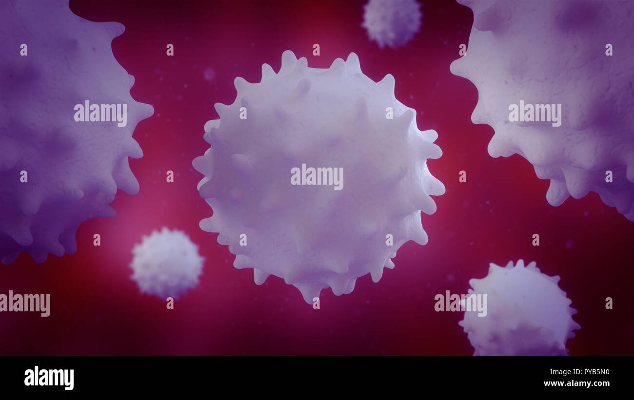 Basophil white blood cell Banque de photographies et d’images à haute ...