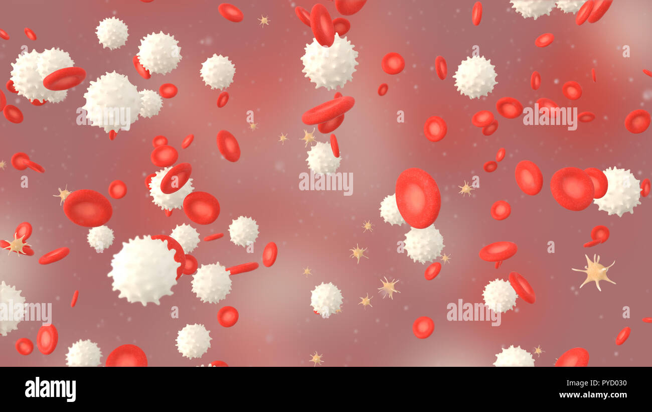 Cellule blanche Banque de photographies et d’images à haute résolution ...