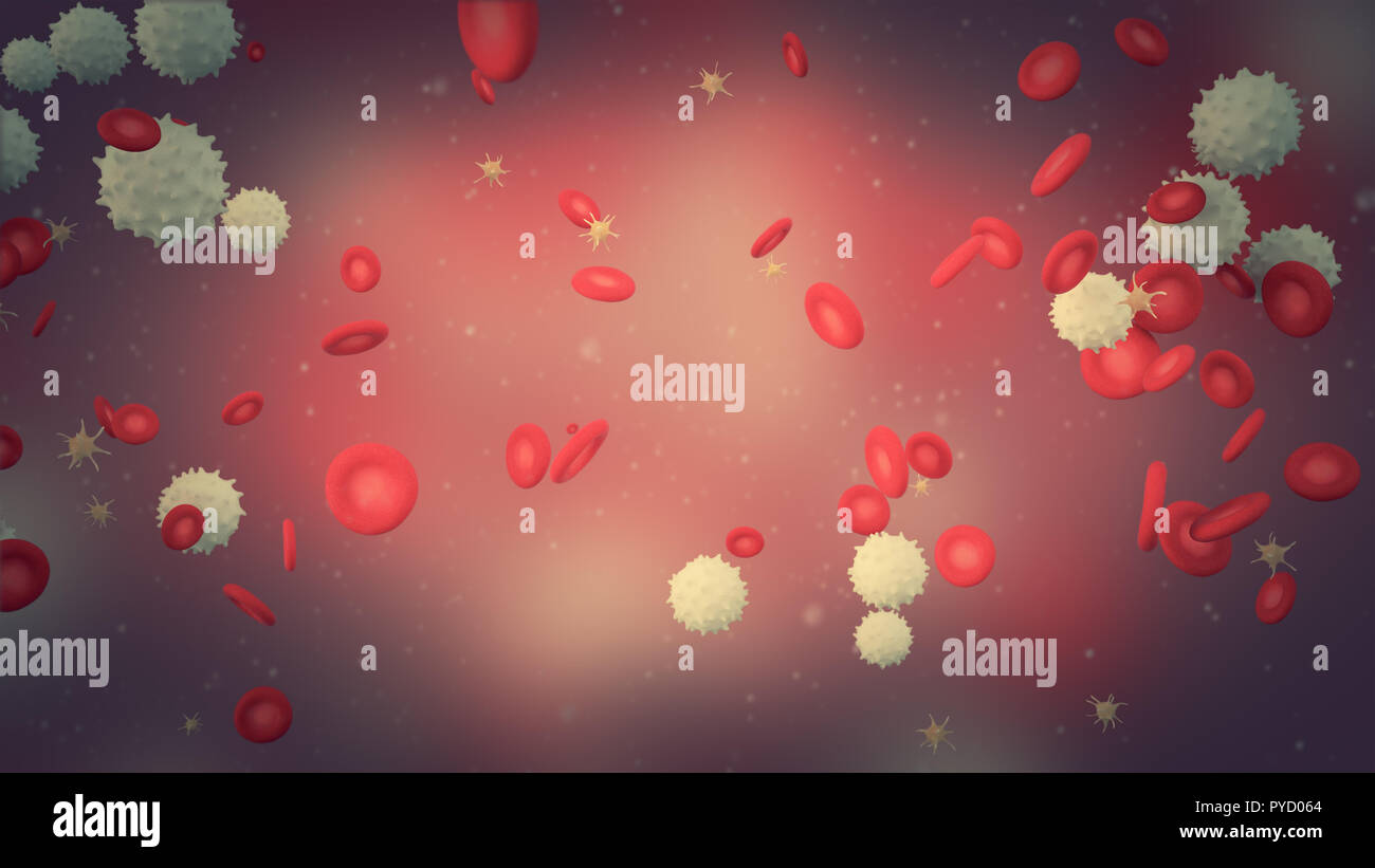 Cellule humaine globules rouge et blanc Banque de photographies et d ...