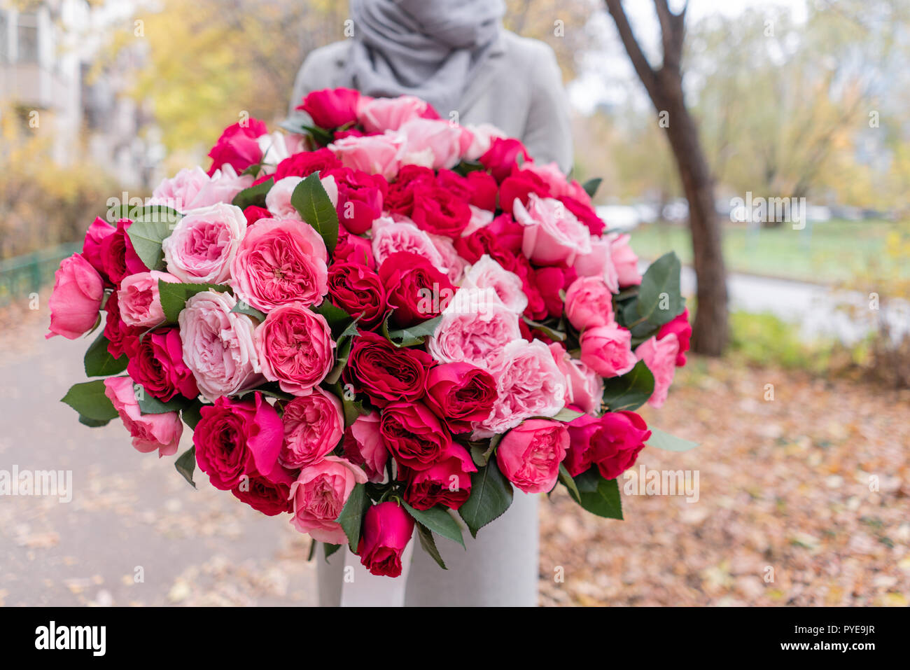 Sortes de roses Banque de photographies et d’images à haute résolution ...