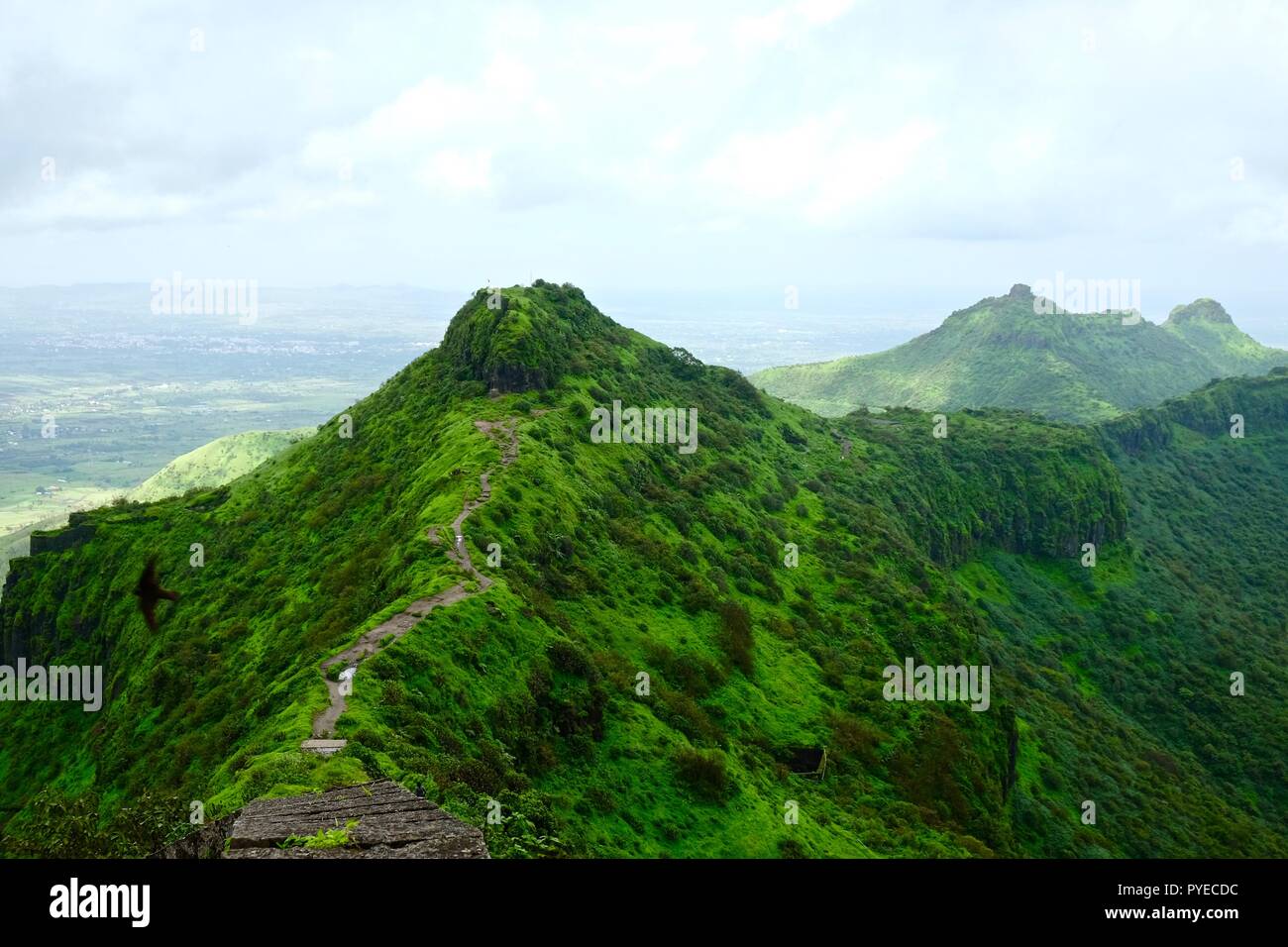 Beau paysage par antenne, gros plan et photos de nature, de routes, d ...