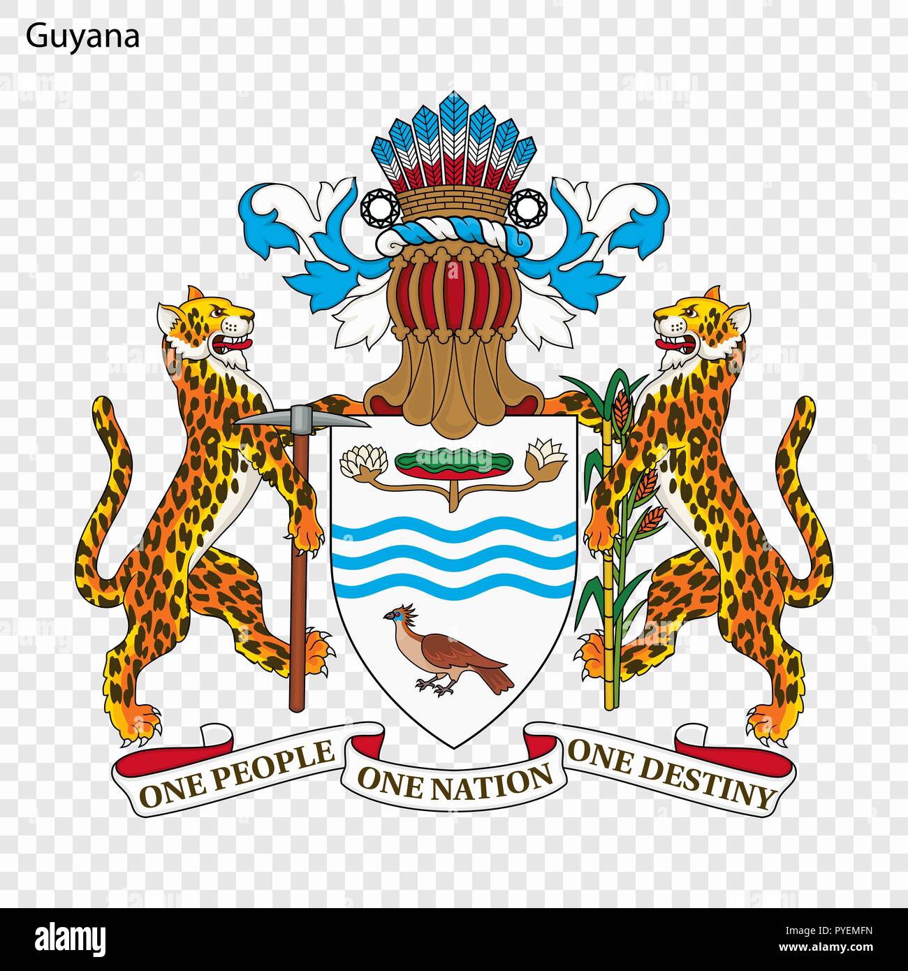 Emblème de la Guyana. Symbole national Image Vectorielle Stock - Alamy
