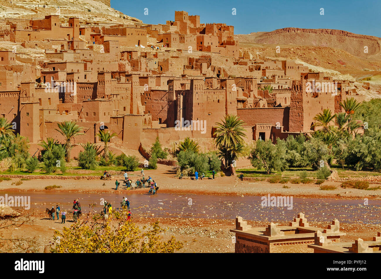 ânes au maroc Banque de photographies et d’images à haute résolution ...