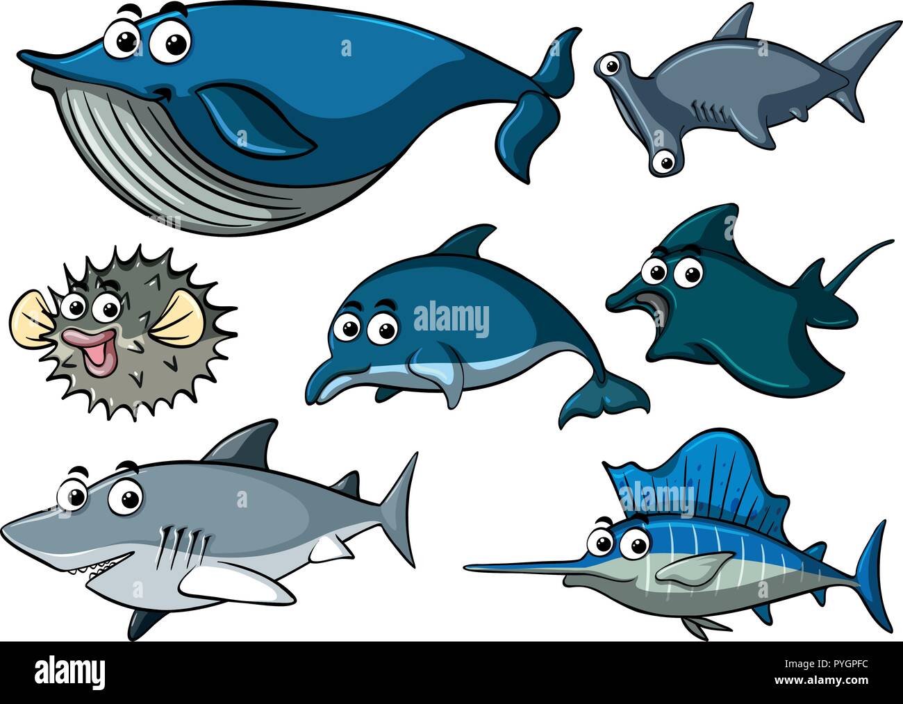 Différents types de requins illustration Image Vectorielle Stock - Alamy