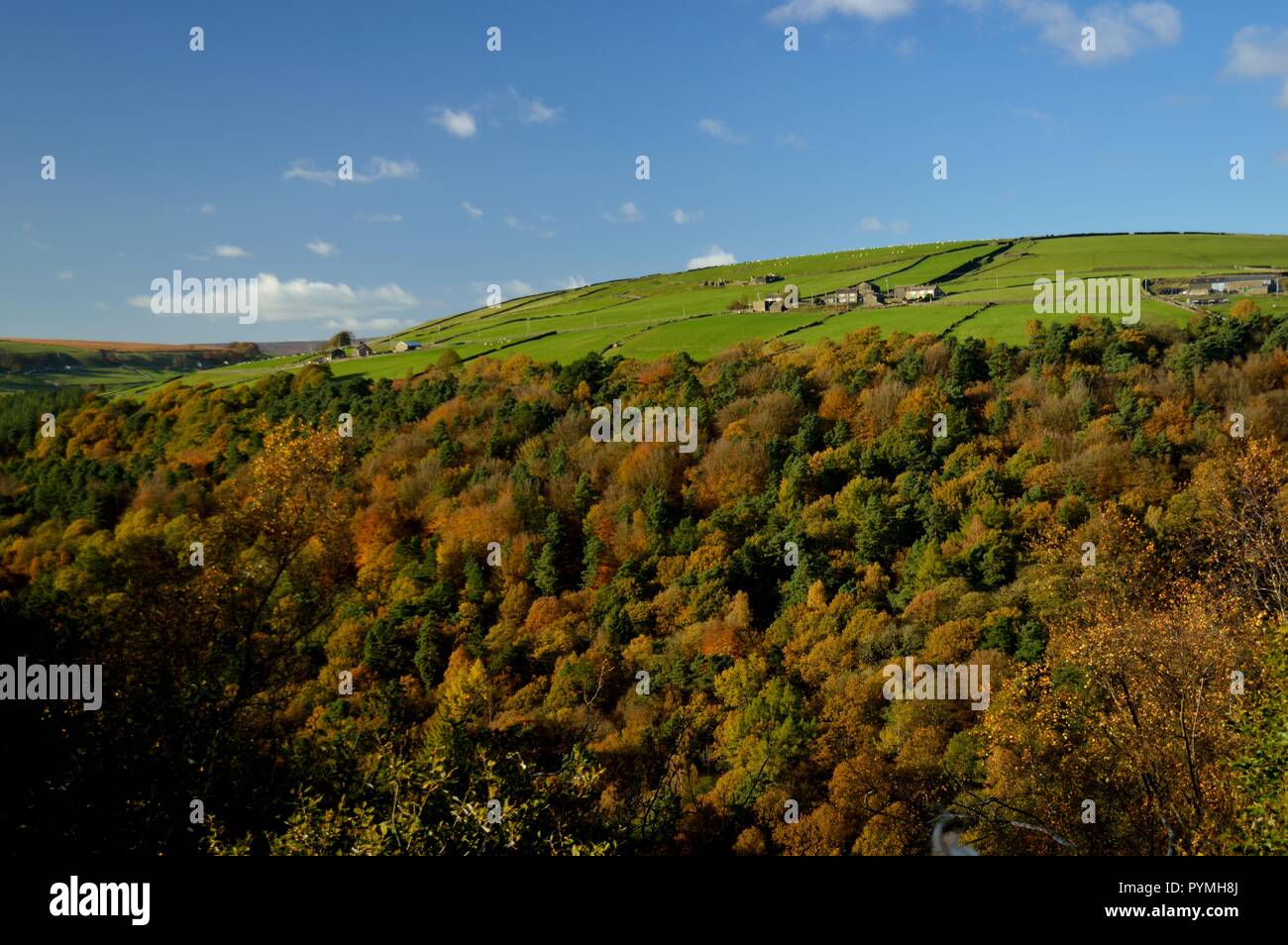 Yorkshire hills Banque de photographies et d’images à haute résolution ...