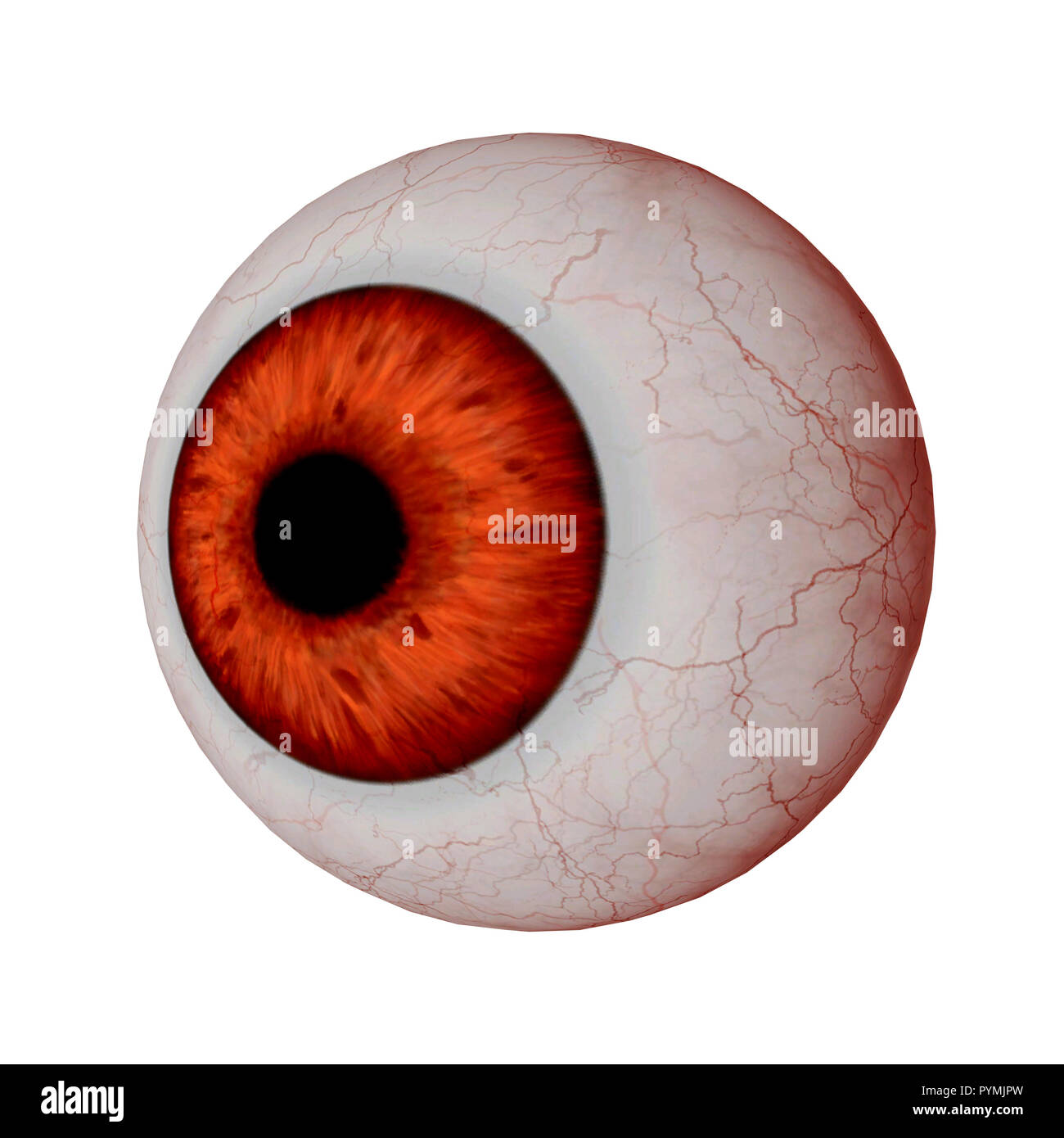 Ombre effrayante Banque d'images détourées - Alamy