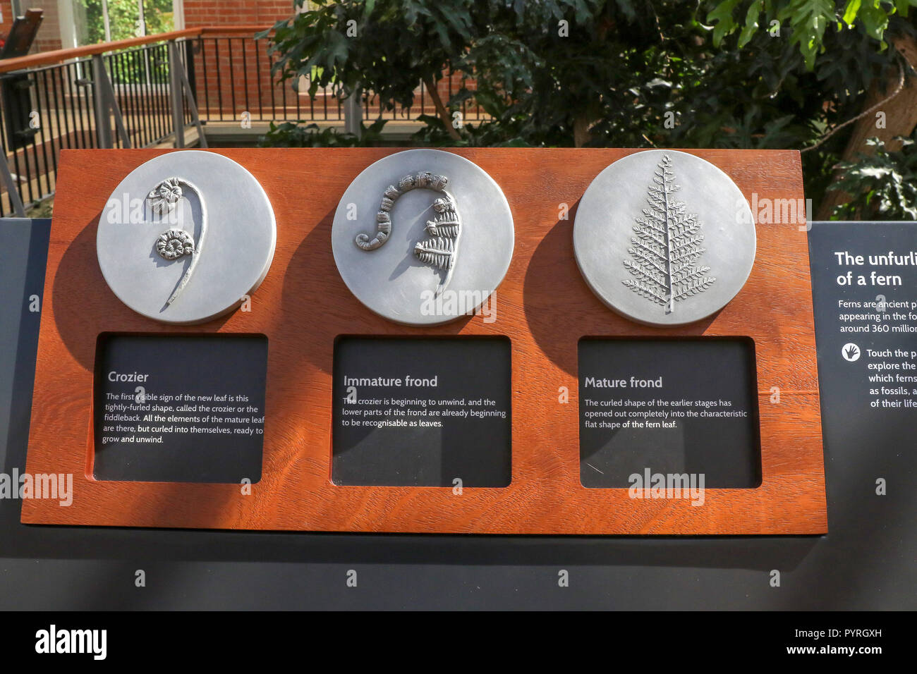 Jardins botaniques de construction de ravins tropicaux Banque de ...