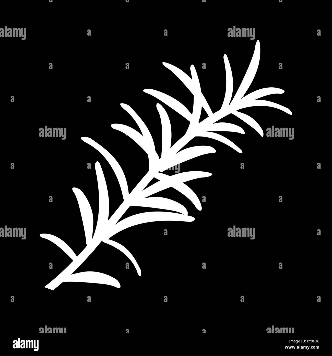 Le romarin ou Rosmarinus officinalis. Feuilles et fleurs. logo isolés ...