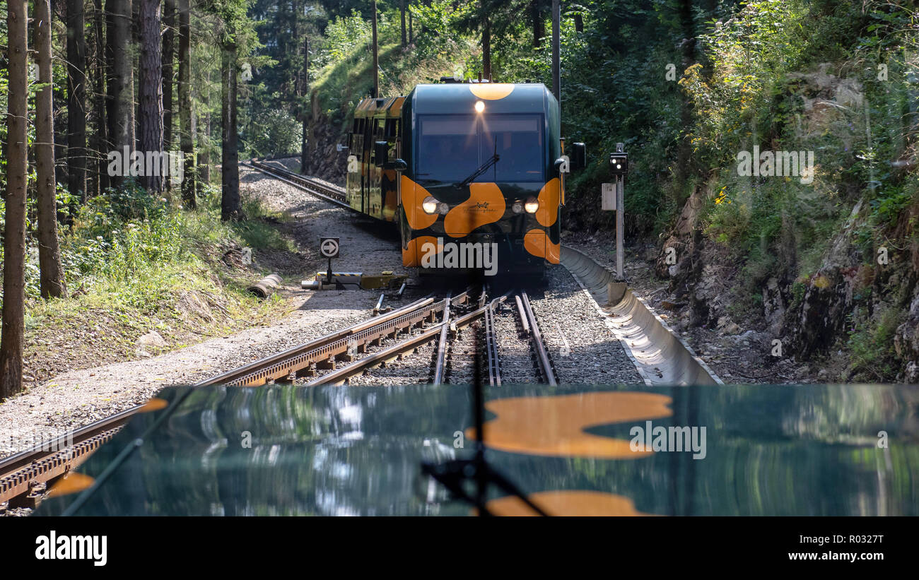 Train de salamandres Banque de photographies et d’images à haute ...