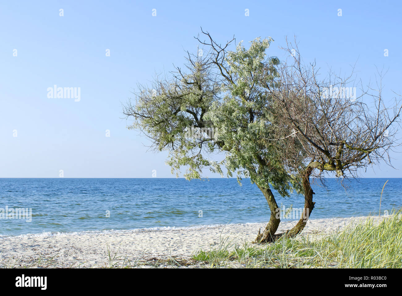 Kinburn spit Banque de photographies et d’images à haute résolution - Alamy