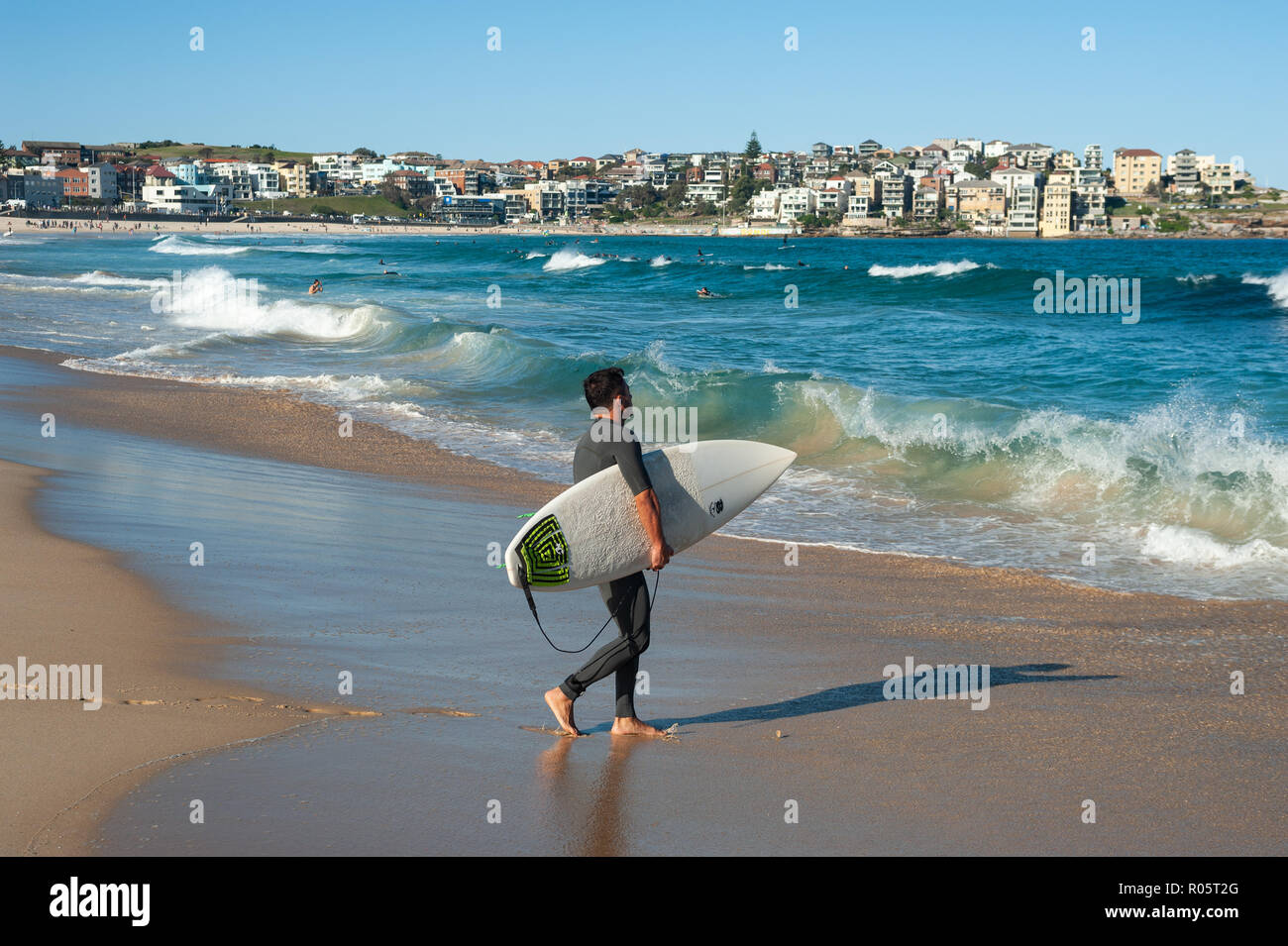 Sydney surfeur Banque de photographies et d’images à haute résolution ...