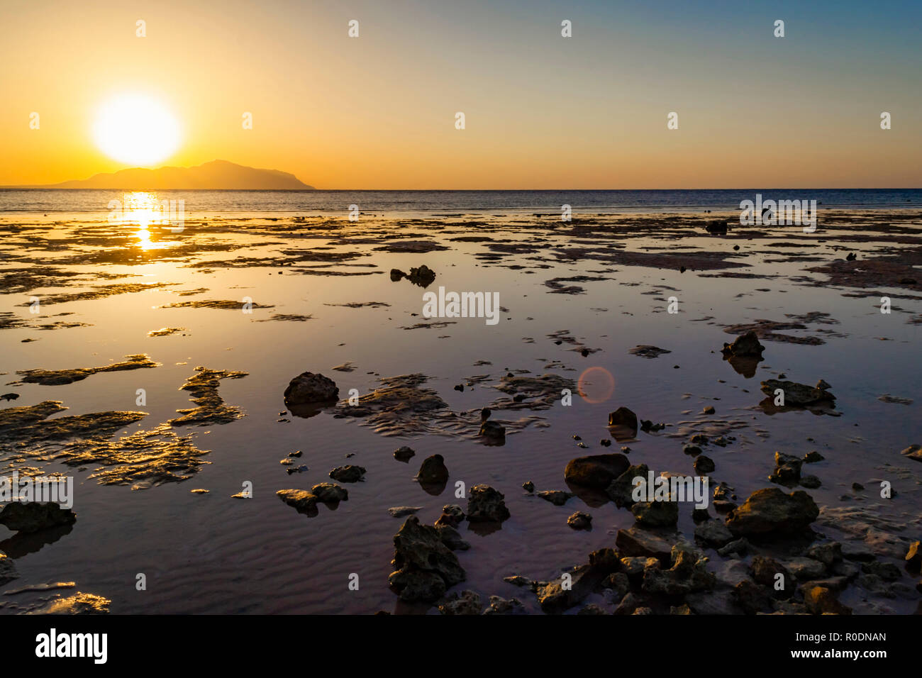 Mer Rouge Arabie Saoudite Banque d'image et photos - Alamy