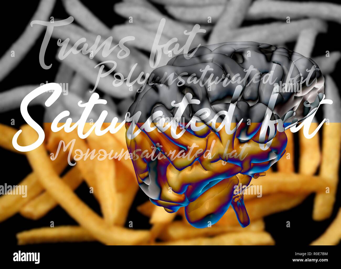 Types de gras et le cerveau humain, de l'illustration Photo Stock - Alamy