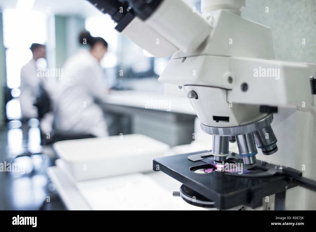 Microscope en laboratoire Banque de photographies et d’images à haute ...