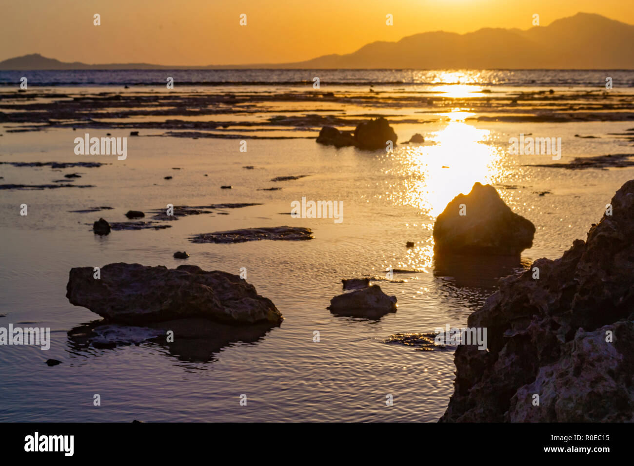 Mer Rouge Arabie Saoudite Banque d'image et photos - Alamy
