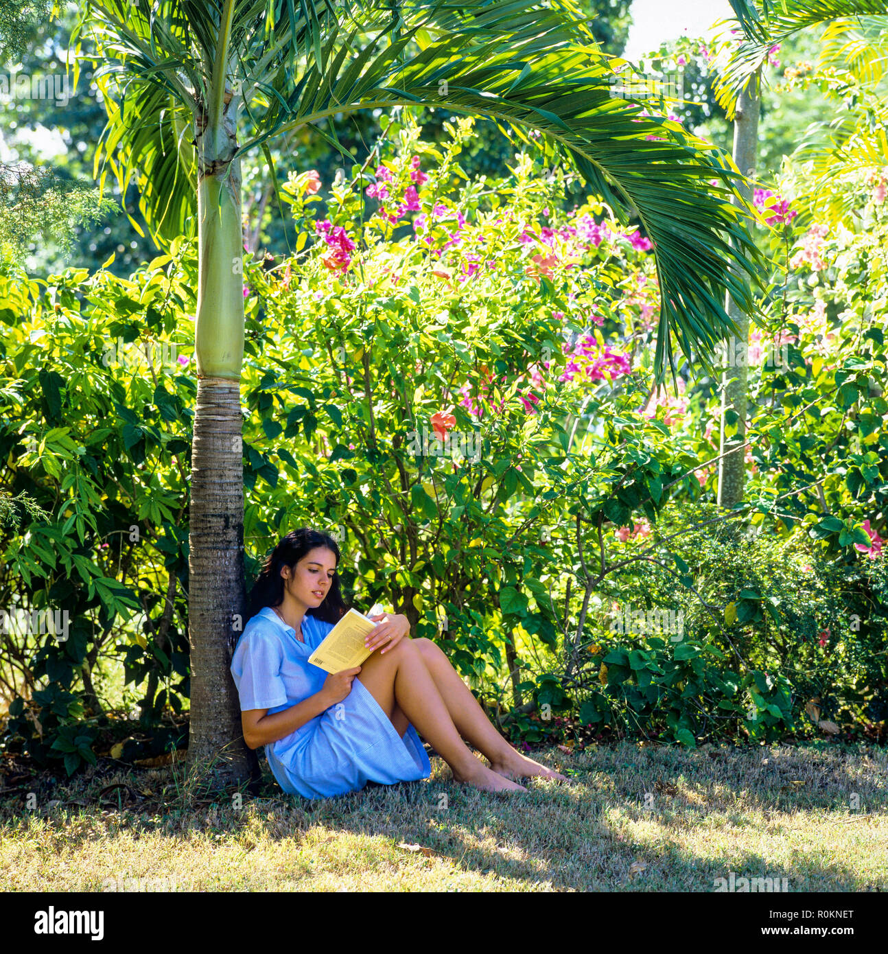 Jeune Femme Assise Dans Un Jardin Tropical Et La Lecture Dun Livre La