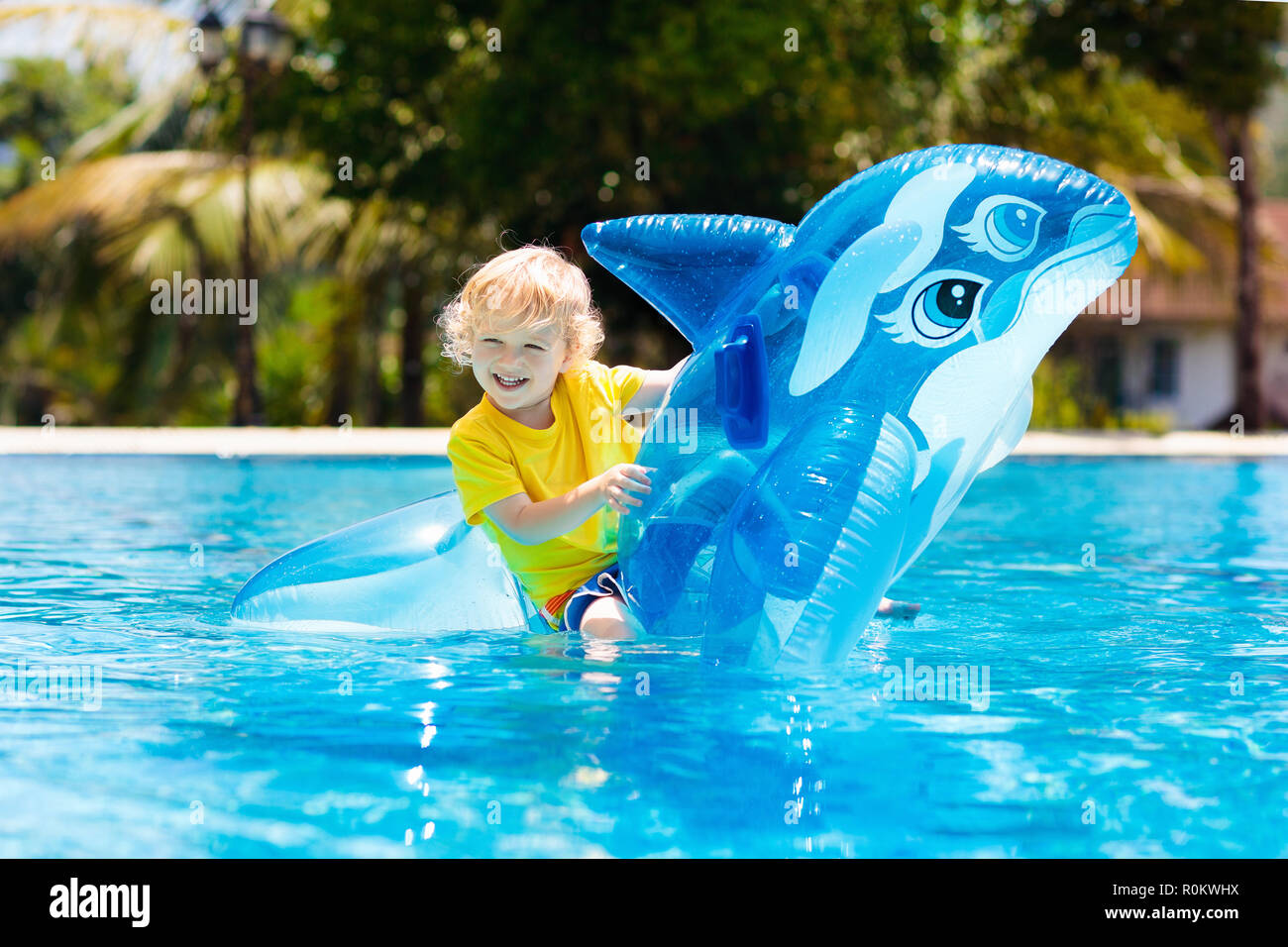 Inflatable Dolphin Beach Toy Banque De Photographies Et Dimages à