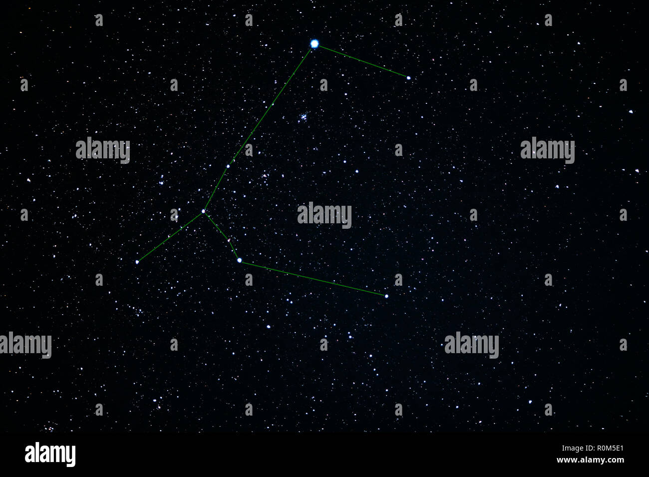Astrology big dog constellation Banque de photographies et d’images à ...