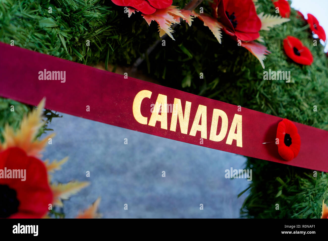 Symbole du jour du souvenir Banque de photographies et d’images à haute ...