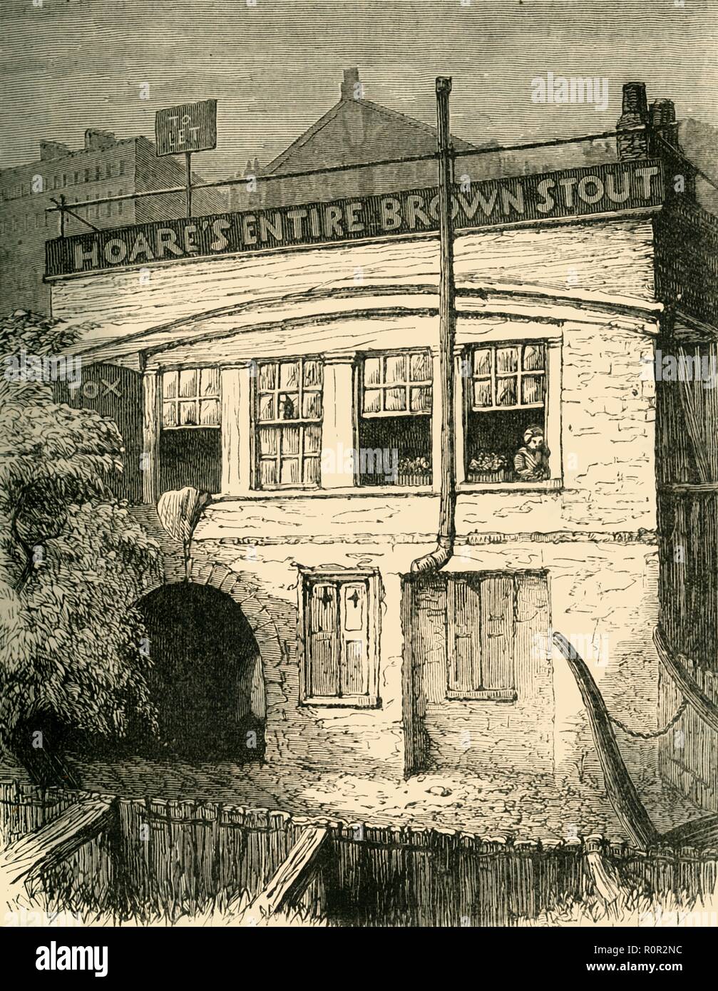 Edward lane fox Banque de photographies et d’images à haute résolution ...