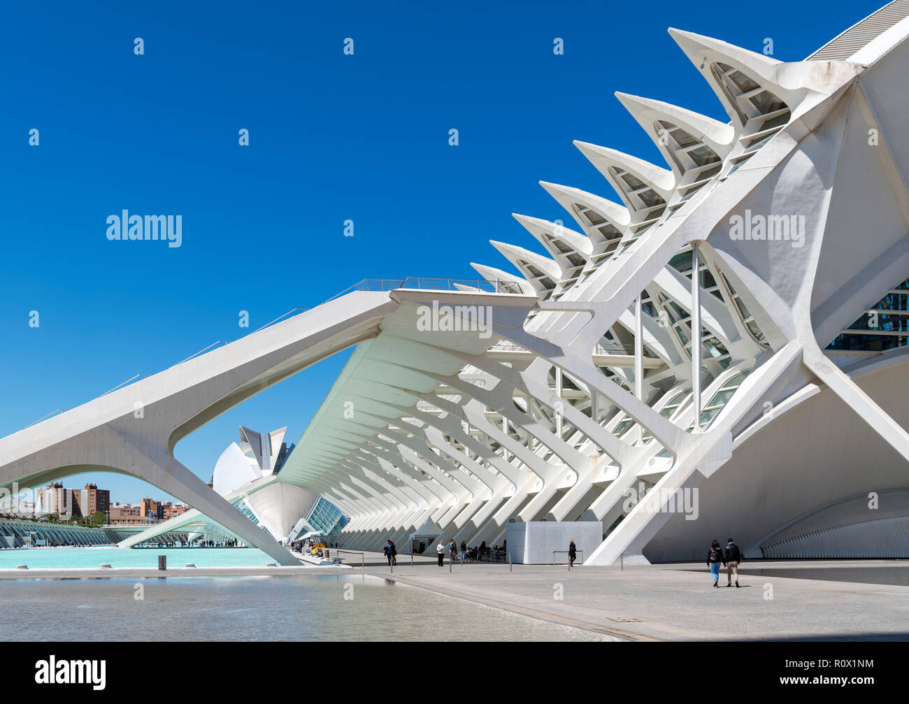 Ciudad de las artes y las ciencias Banque de photographies et d’images ...