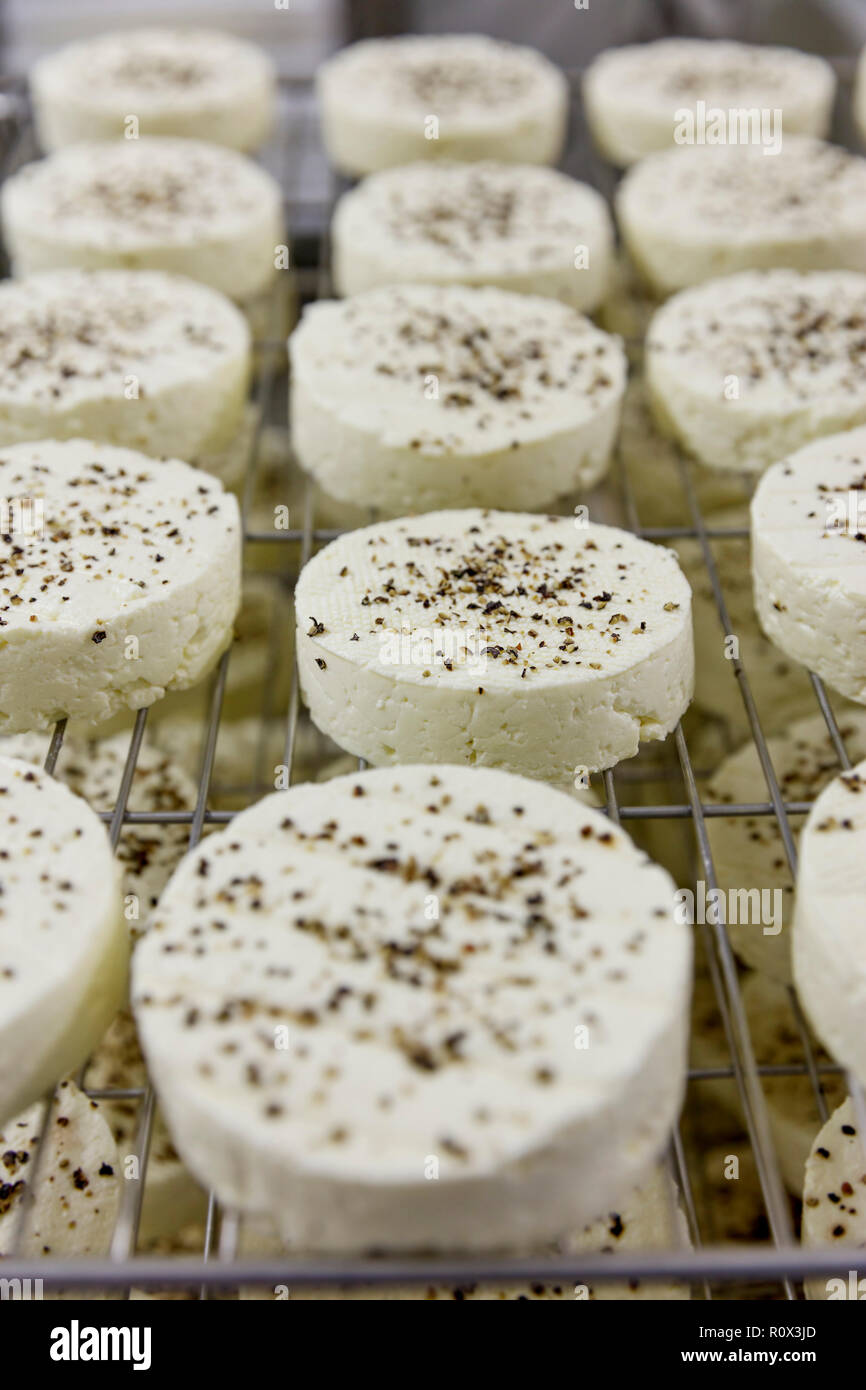 Processus de fabrication Banque de photographies et d’images à haute ...