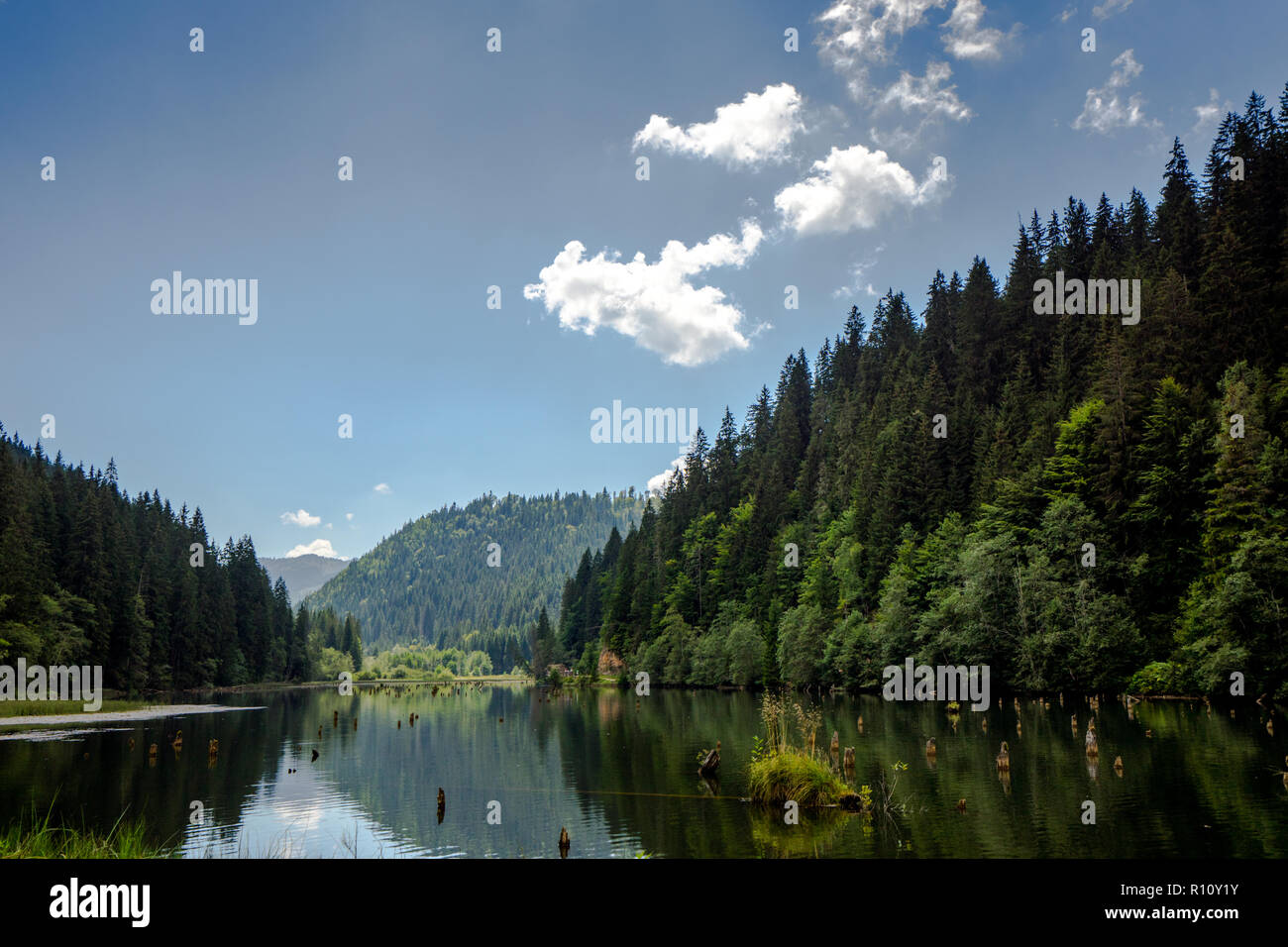 Lac rouge lacul rosu Banque de photographies et d’images à haute ...