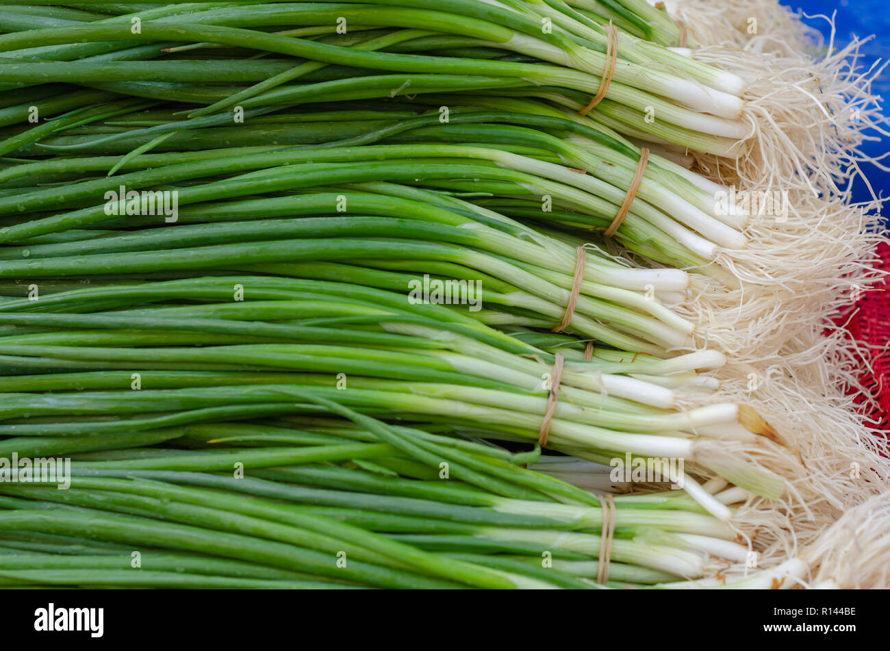 Oignon vert frais. Les échalotes ou les oignons verts sur le marché ...