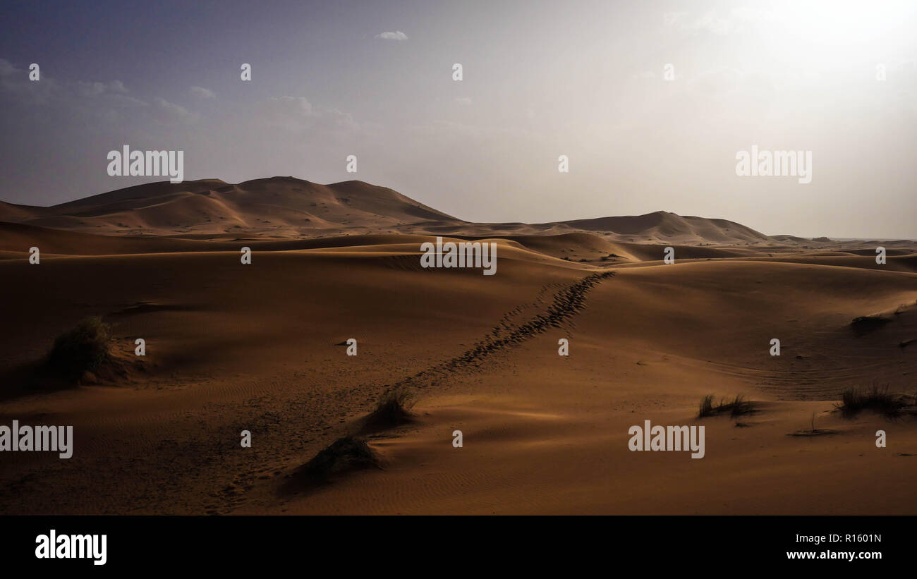 Sahara du dã©sert Banque de photographies et d’images à haute ...