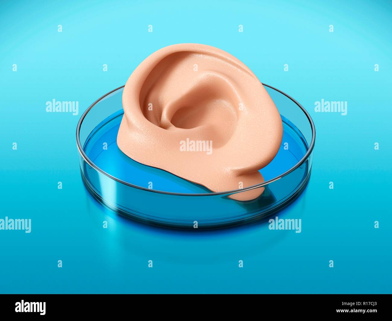 Bioprinting de l'oreille humaine Banque de photographies et d’images à ...