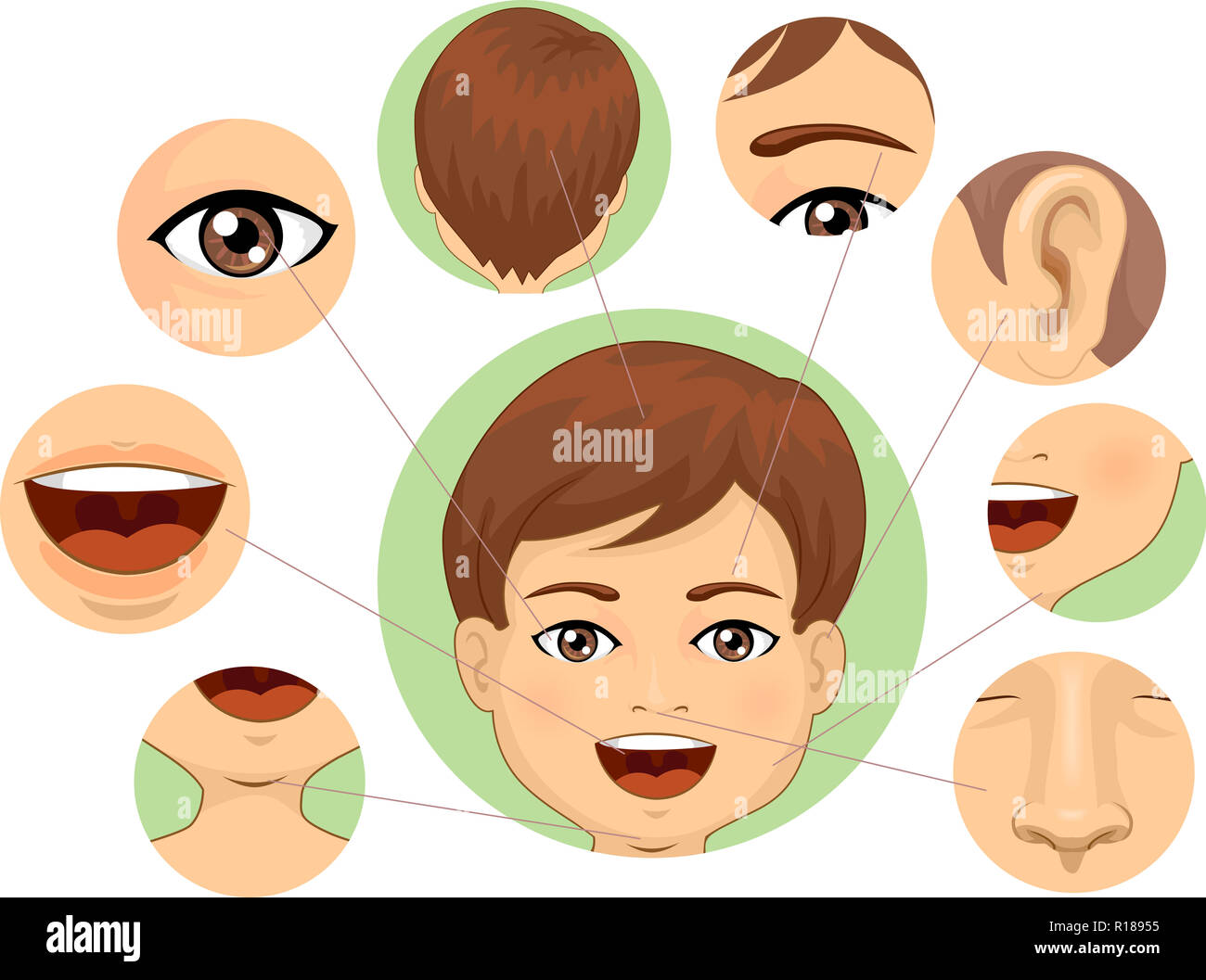 Illustration d'un enfant garçon avec différentes parties du visage ...