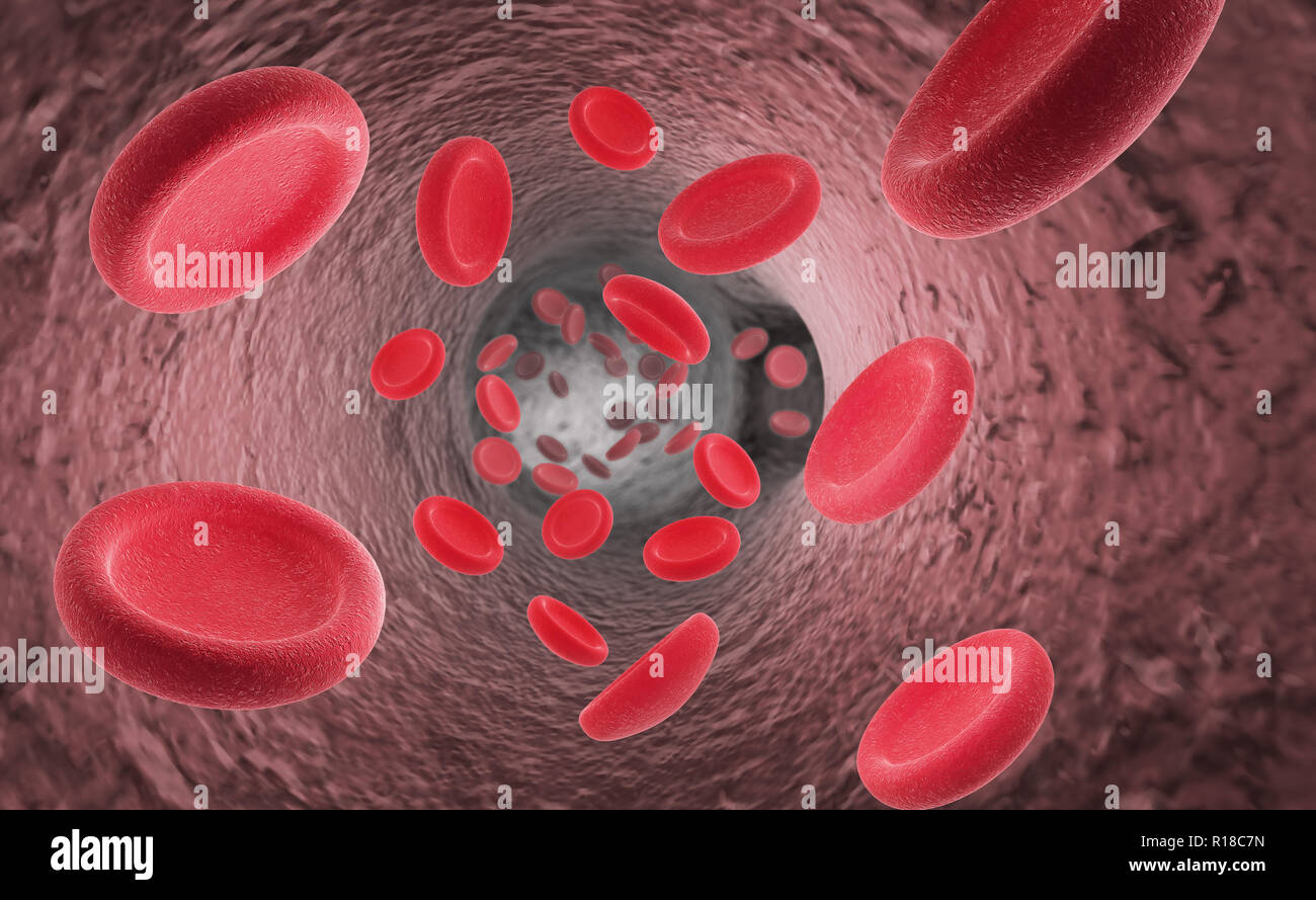 Cells Erythrocytes Banque d'image et photos - Alamy