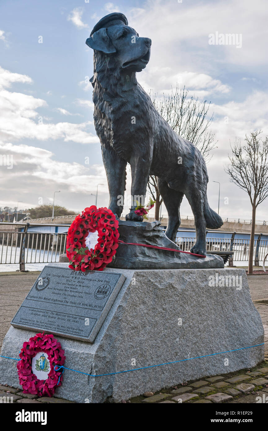 Statue De Bamse Banque d'image et photos - Alamy