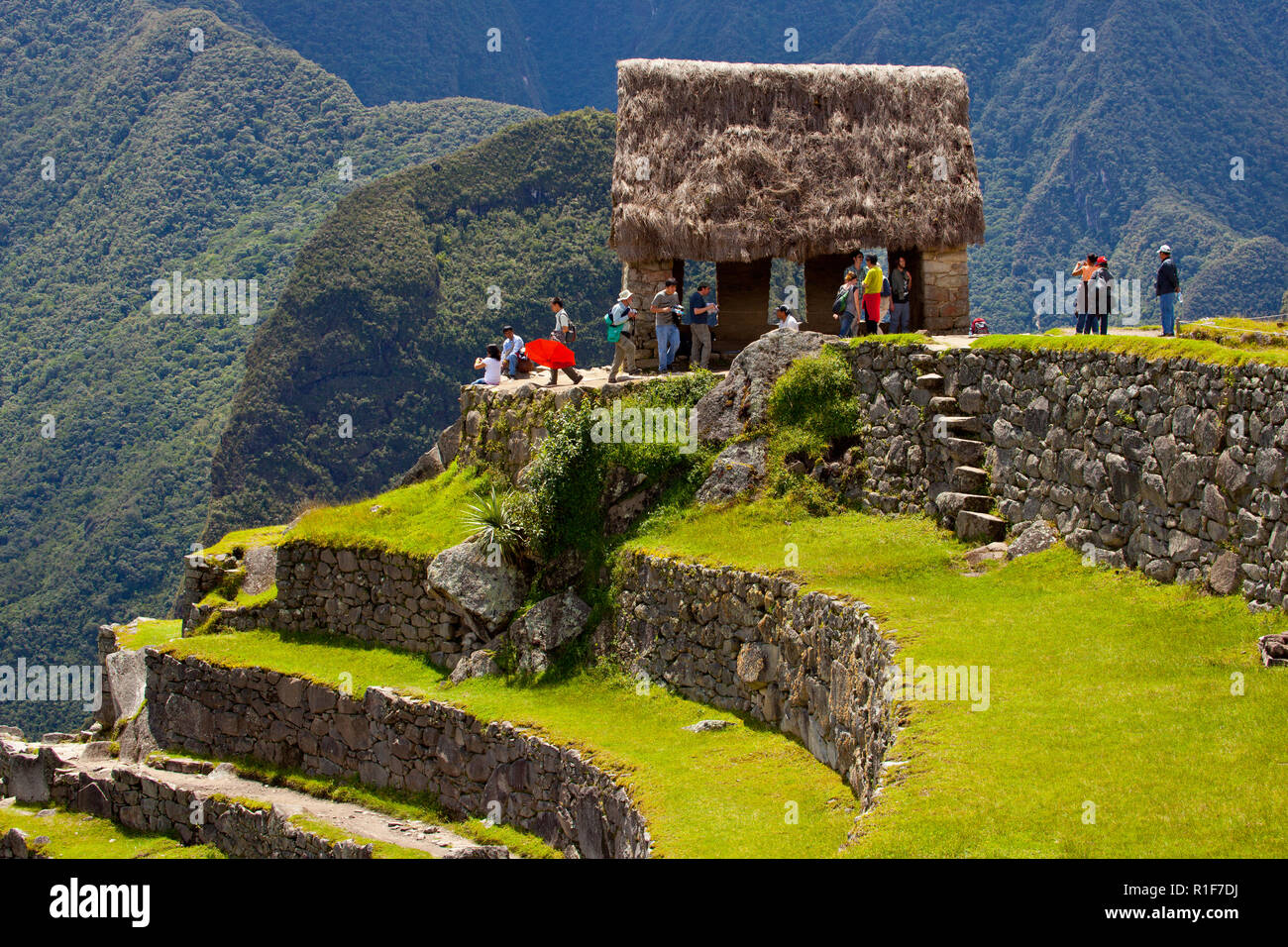 Matsu pitsu Banque de photographies et d’images à haute résolution - Alamy
