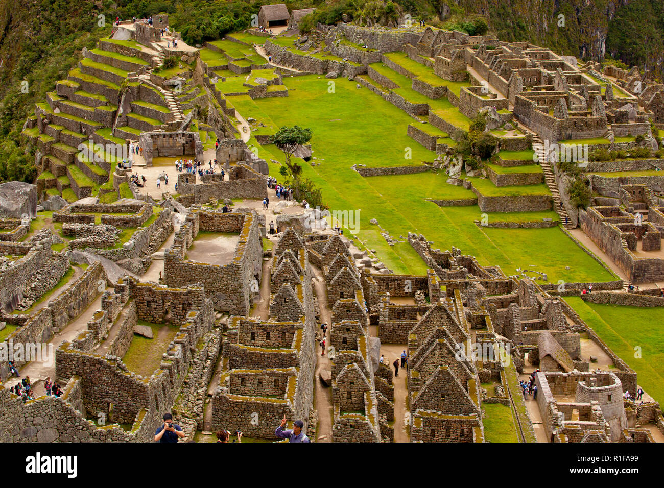 Matsu pitsu Banque de photographies et d’images à haute résolution - Alamy