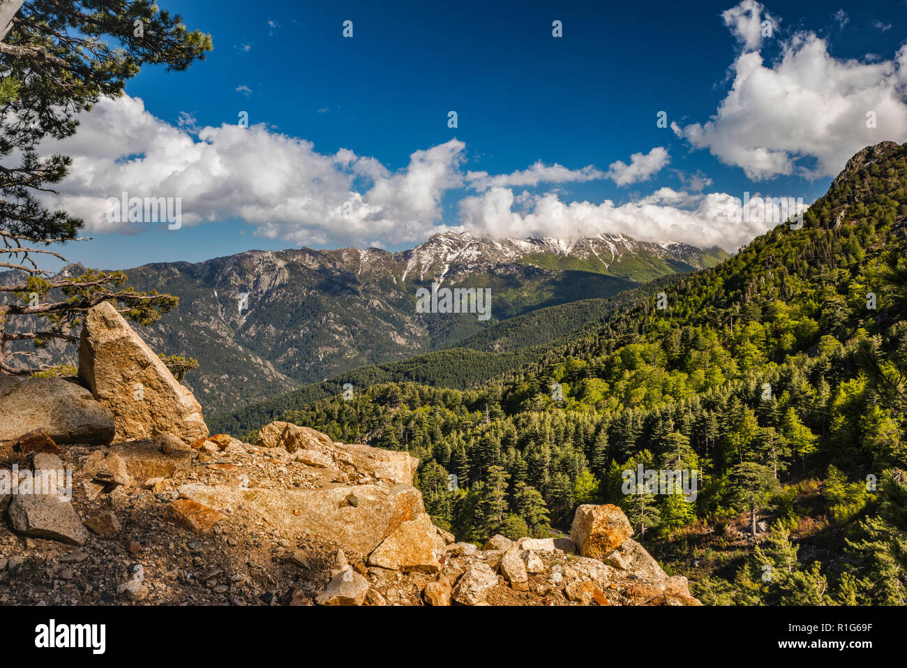 Ghisoni village Banque de photographies et d’images à haute résolution ...