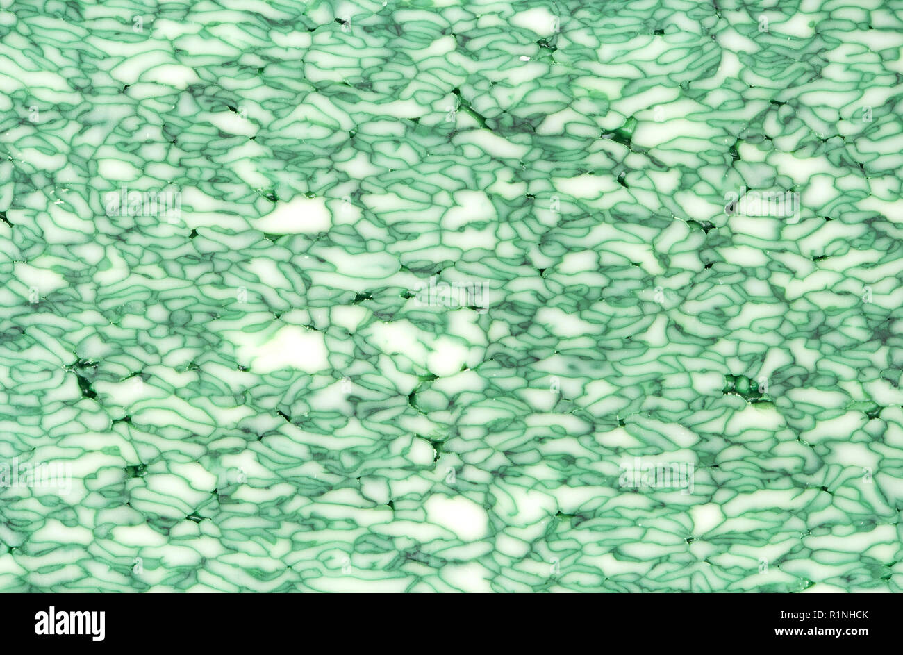 Fromage vert Banque de photographies et d’images à haute résolution - Alamy