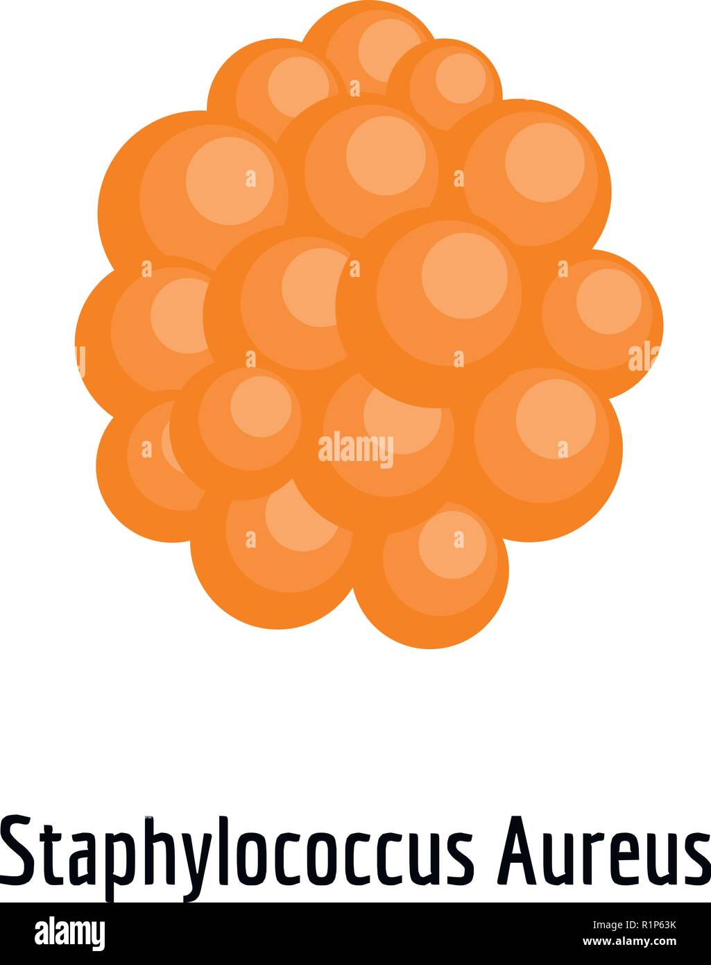 L'icône de Staphylococcus aureus. Cartoon illustration de ...