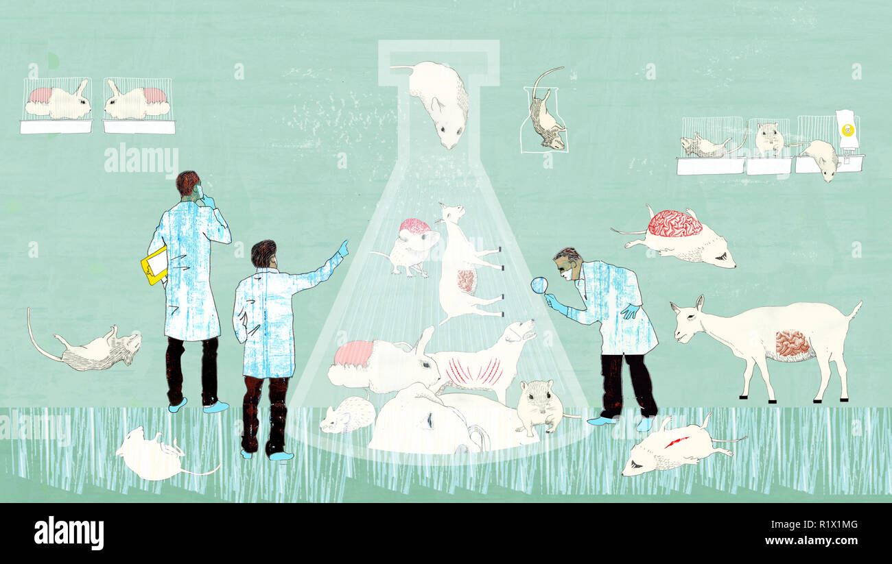 Animal experimentation Banque de photographies et d’images à haute ...