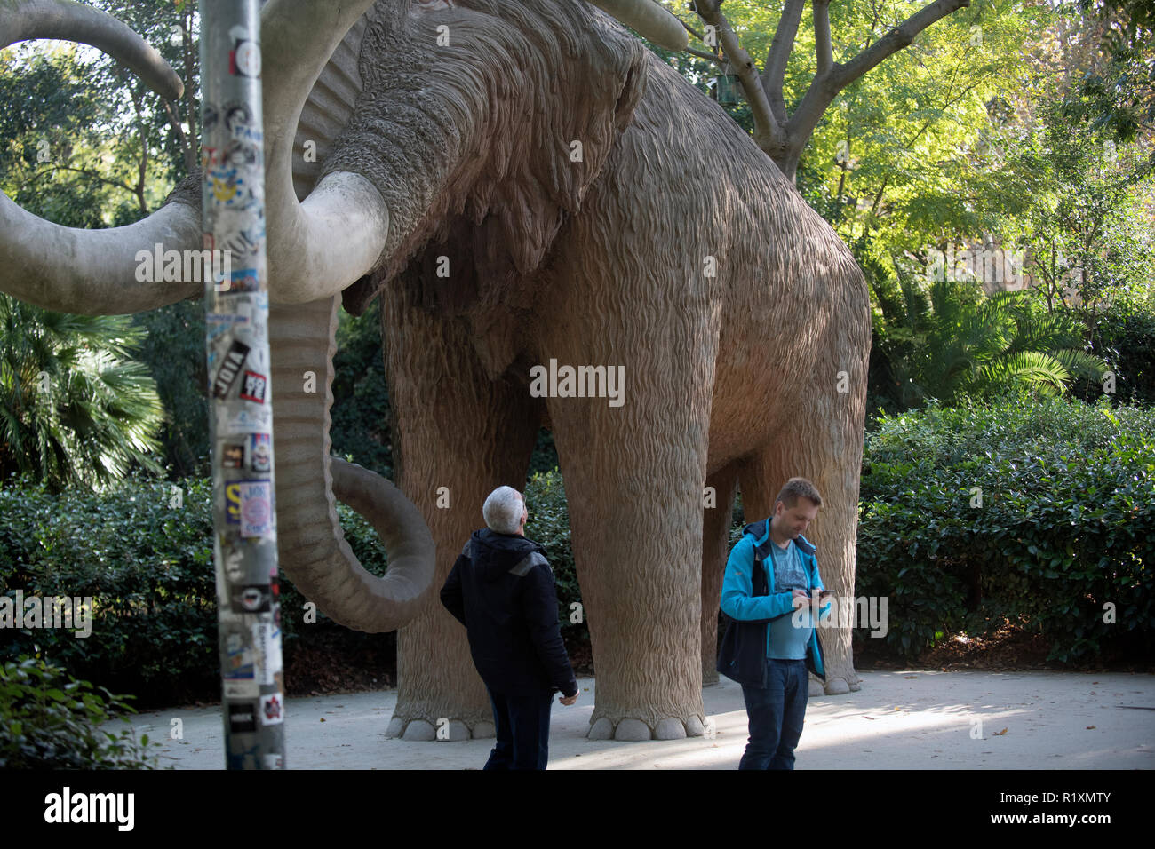 éléphant géant Banque de photographies et d’images à haute résolution ...