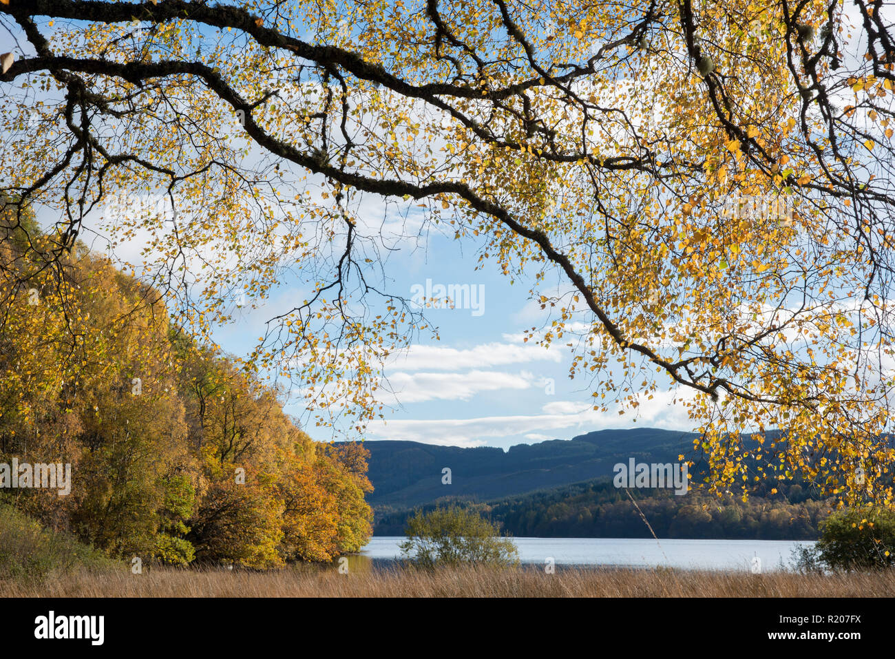 Loch lomand et trossacks Banque de photographies et d’images à haute ...