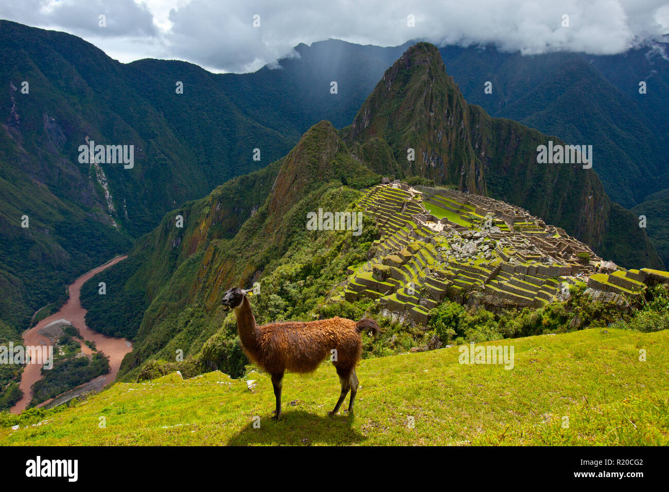 Matsu pitsu Banque de photographies et d’images à haute résolution - Alamy