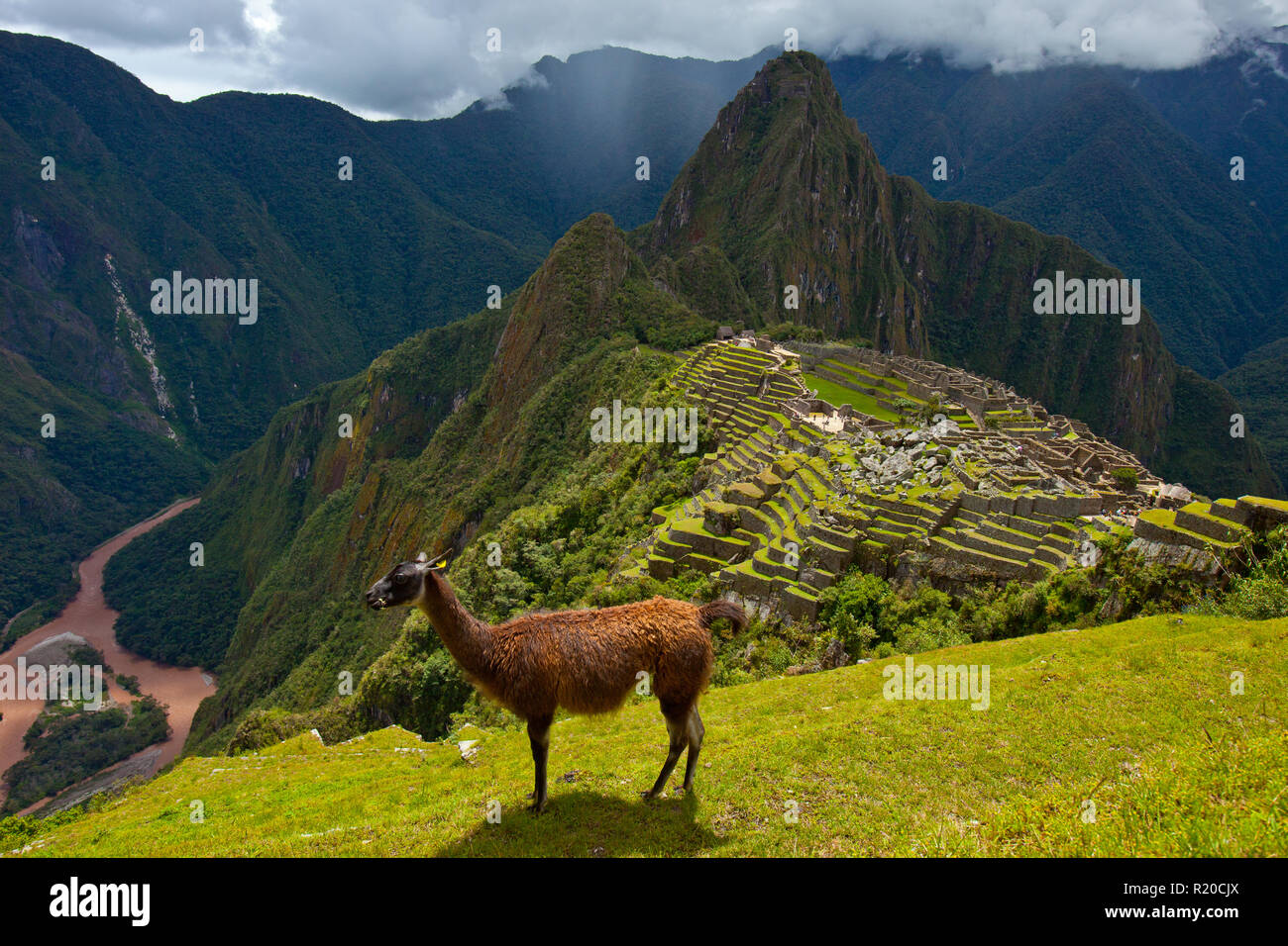 Matsu pitsu Banque de photographies et d’images à haute résolution - Alamy