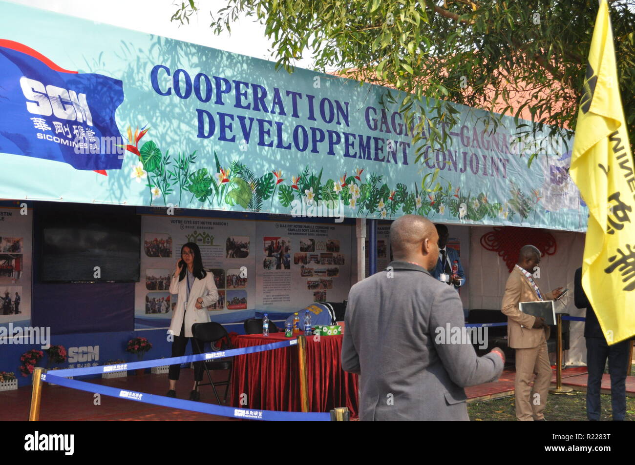 Les sicomines Banque de photographies et d’images à haute résolution ...