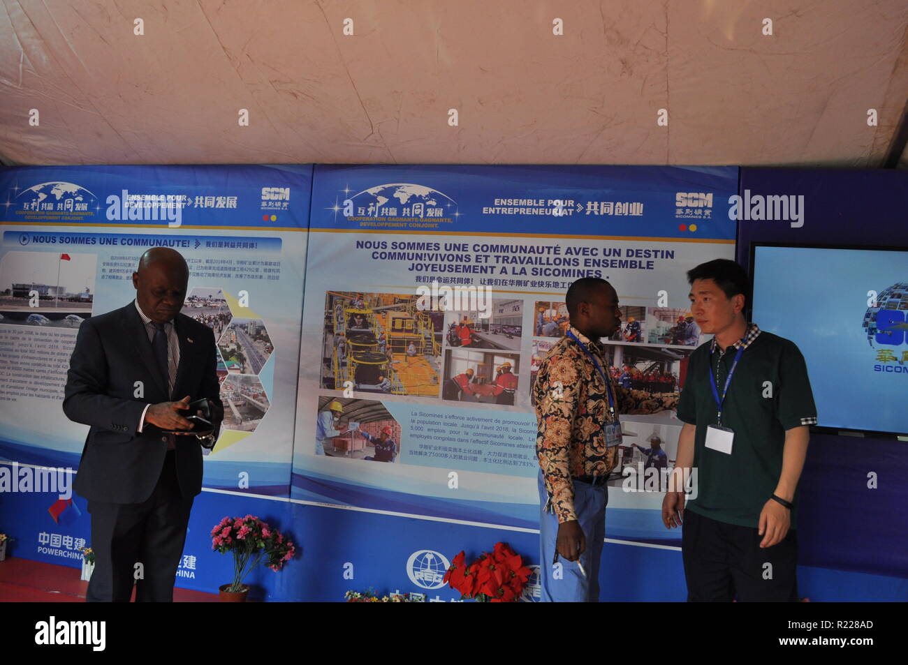 Les sicomines Banque de photographies et d’images à haute résolution ...